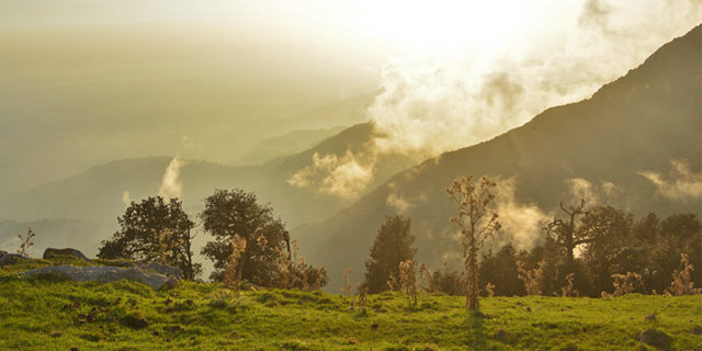 Triund Trek – A Complete Guide to Trekking & Camping | Trodly